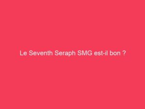 Le Seventh Seraph SMG est-il bon ? - Guide Achat Gamer