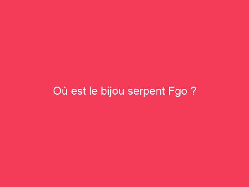 Où est le bijou serpent Fgo ? - Guide Achat Gamer