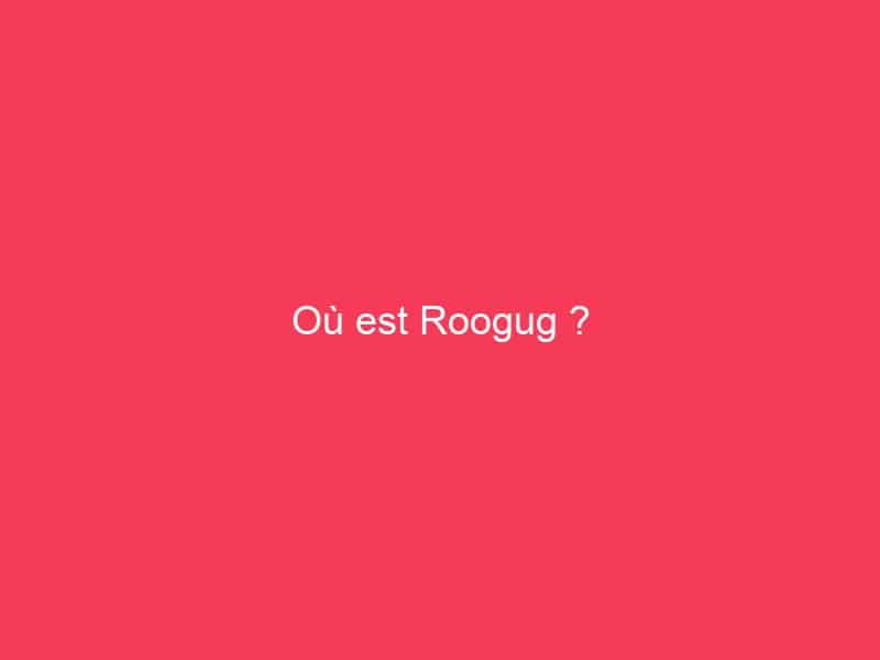Où est Roogug ? - Guide Achat Gamer