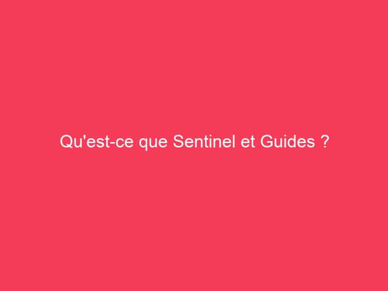 Qu'est-ce que Sentinel et Guides ? - Guide Achat Gamer