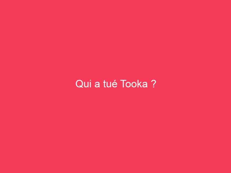 Qui a tué Tooka ? - Guide Achat Gamer