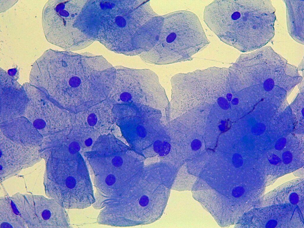 D'où vient Mr ADN ? - Guide Achat Gamer